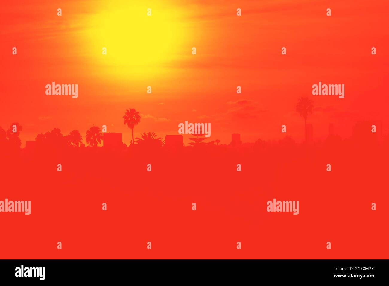 Sunset over Los Angeles skyline with buildings and palm trees in ...