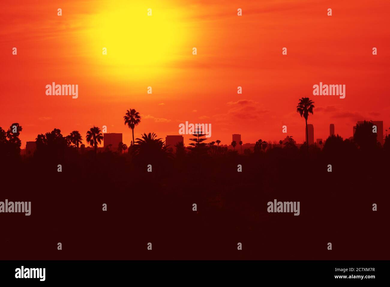 Sunset over Los Angeles skyline with buildings and palm trees in ...