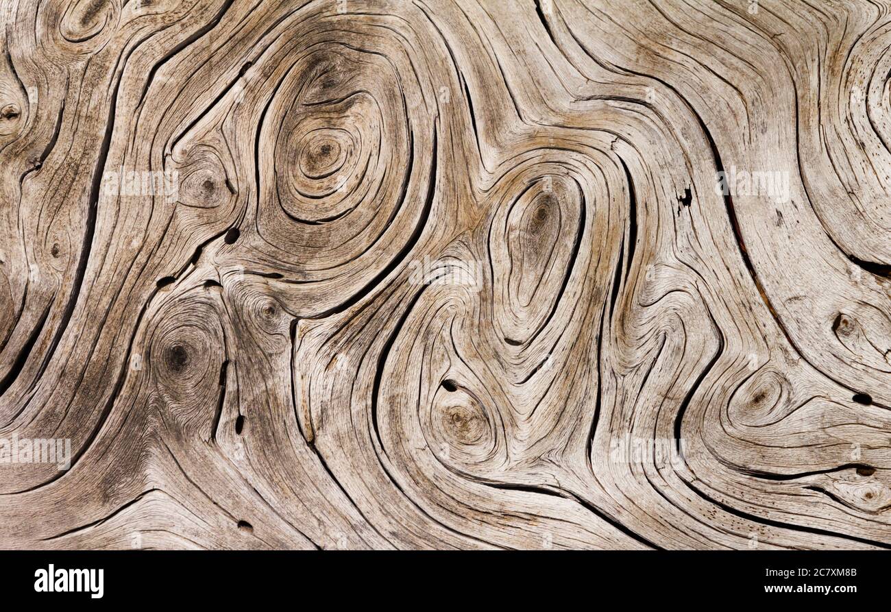 Weathered wooden texture on an old tree branch with twisted swirly patterns Stock Photo - Alamy