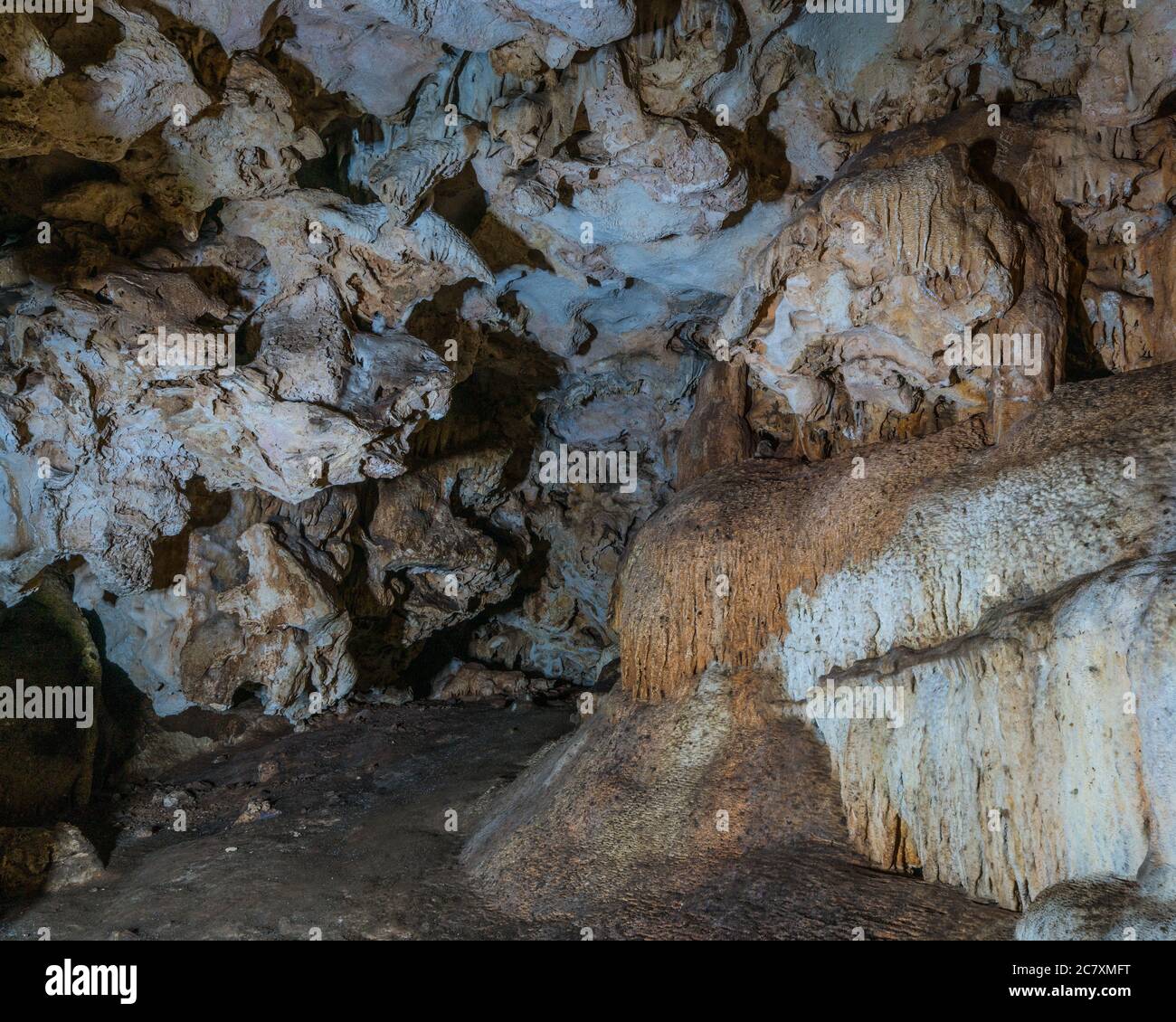 Beautiful mineral formations in the cavern of Cenote Xkeken near ...