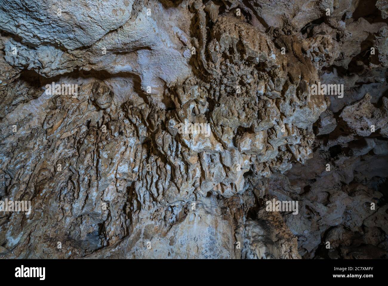 Beautiful mineral formations in the cavern of Cenote Xkeken near ...