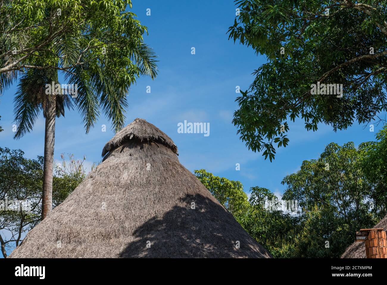 The traditional palm-thatch roof a of palapa at the Mayaland Hotel at ...