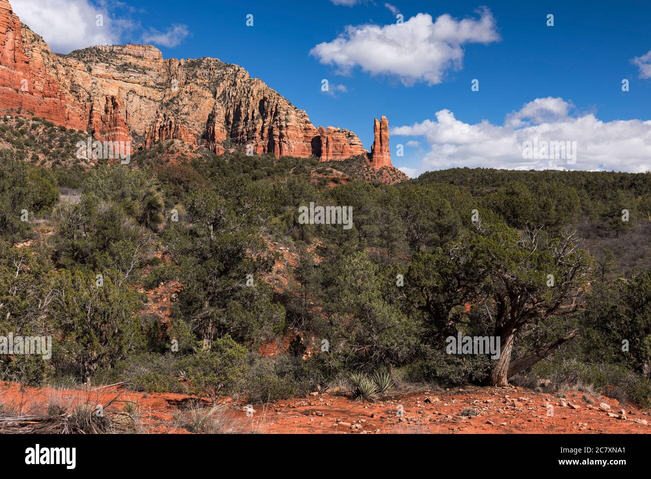 Rabbit Ears Rock Formation and Mountain rise above the Juniper and Pine ...
