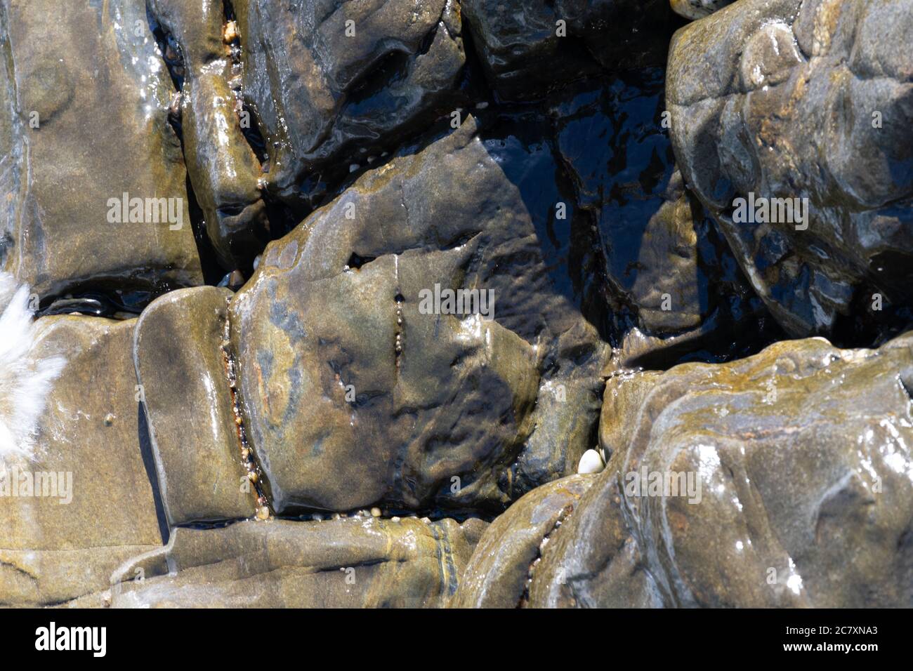 Overhead shot of wet rocks under the sunlight Stock Photo - Alamy