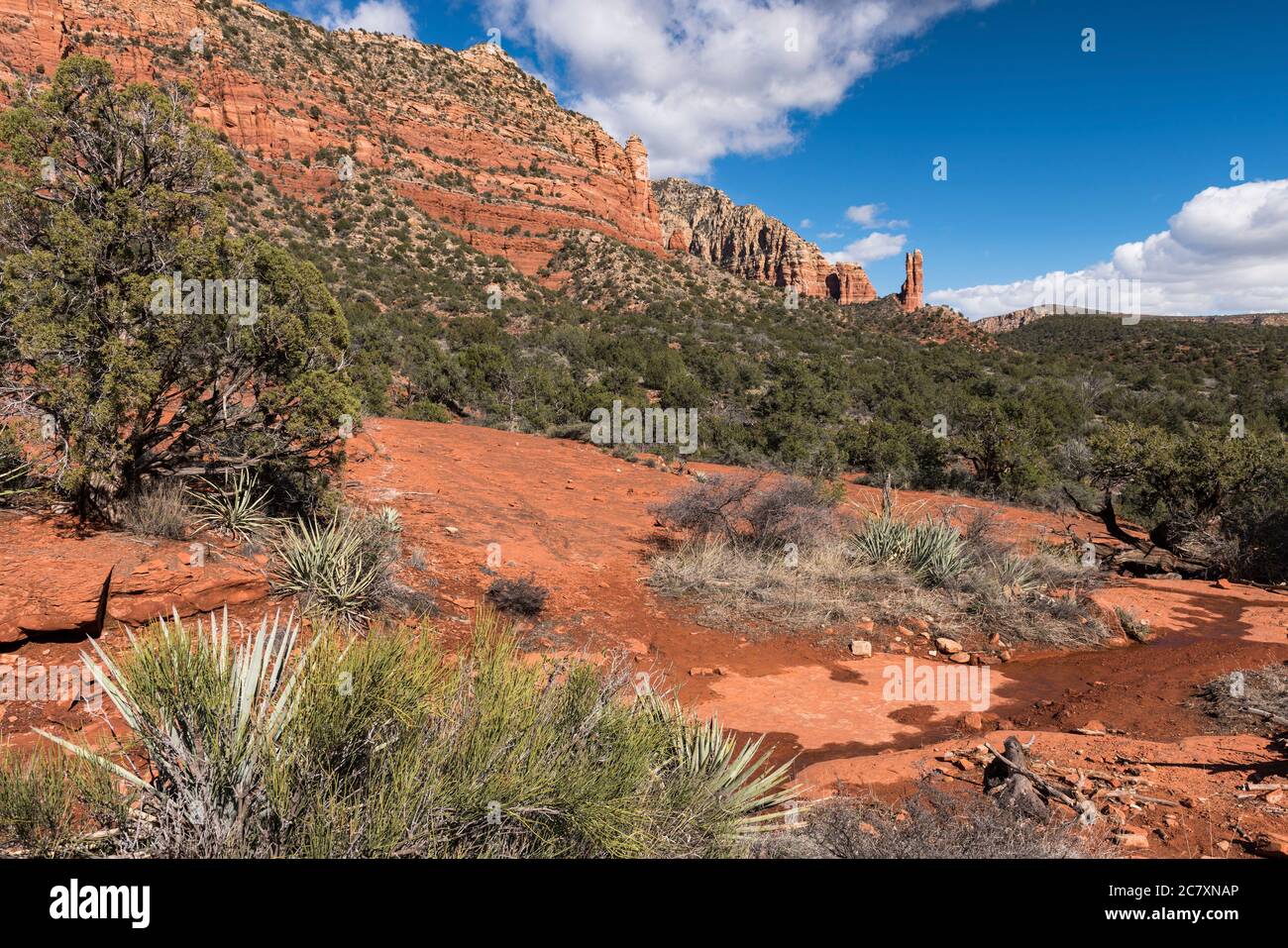 Rabbit Ears Rock Formation and Mountain rise above the Juniper and Pine ...