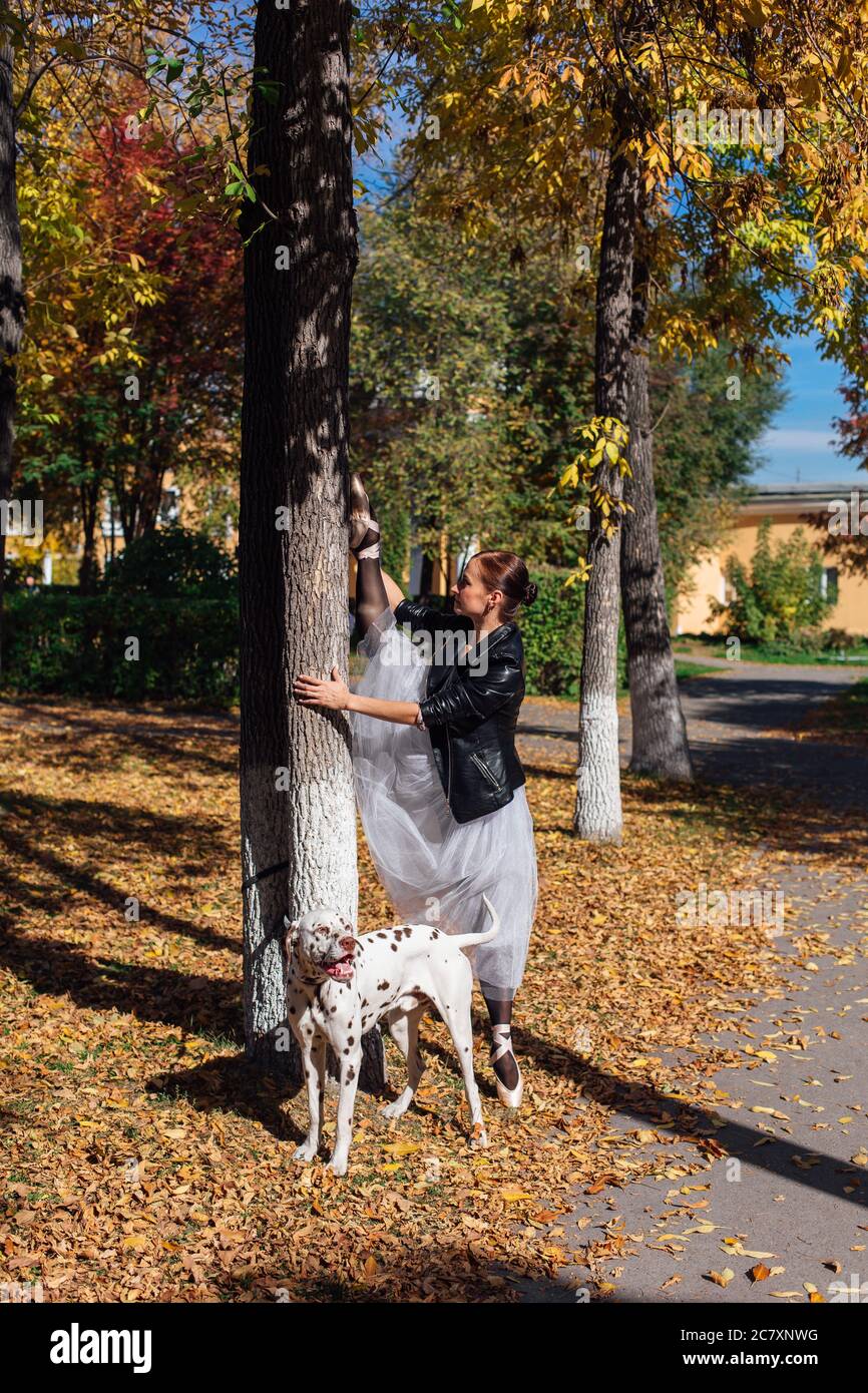 Ballerina with Dalmatian dog in the Park. Woman ballerina in a white ...