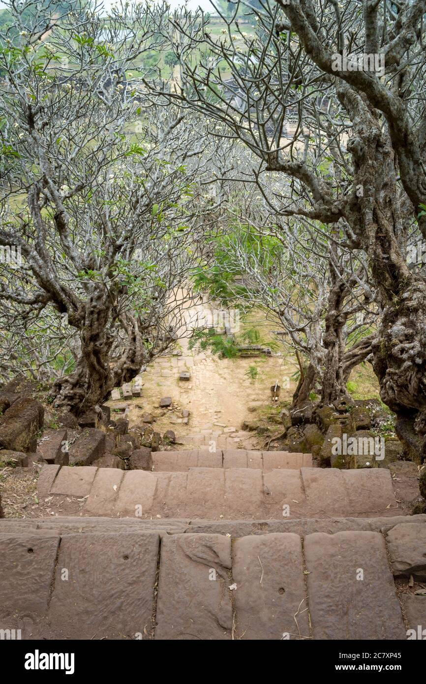 Vertical shot of the stairs in the Khmer Hindu temple complex Wat Phu ...
