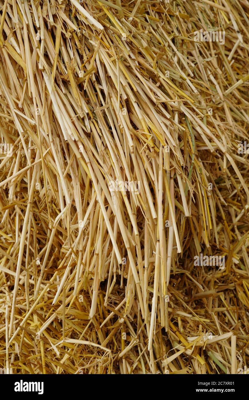 Vertical shot of hay bale perfect for background Stock Photo - Alamy