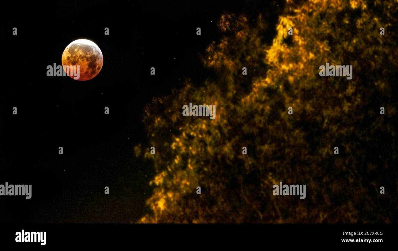 Orange full moon and a blurred tree at night Stock Photo - Alamy