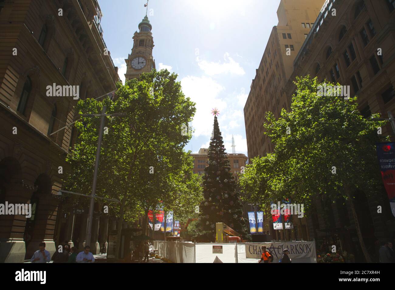 The Christmas tree in Martin Place, Sydney Stock Photo - Alamy