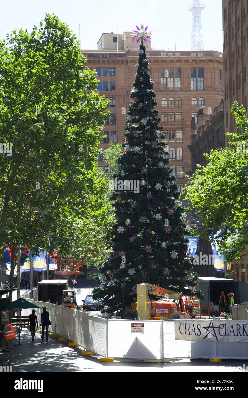 The Christmas tree in Martin Place, Sydney Stock Photo - Alamy