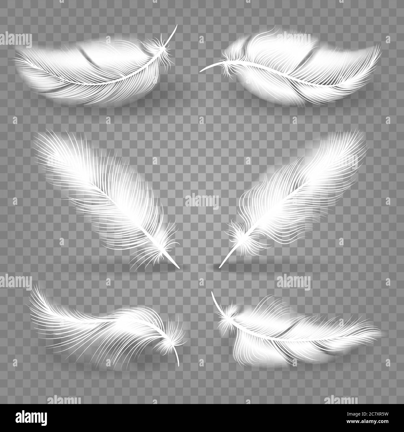 Bird realistic feathers set Black and White Stock Photos & Images - Alamy