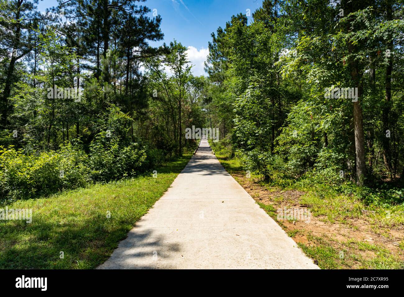 Walkway and bike path in a straight line leading into a forest ...