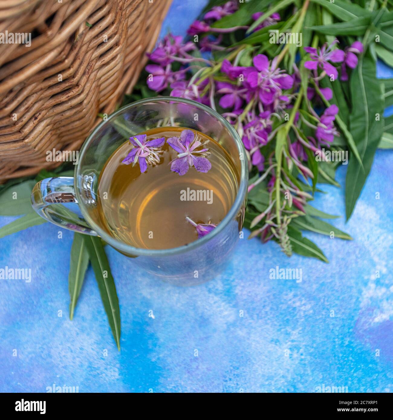 Traditional Russian herbal drink Ivan tea in a transparent cup. Close ...