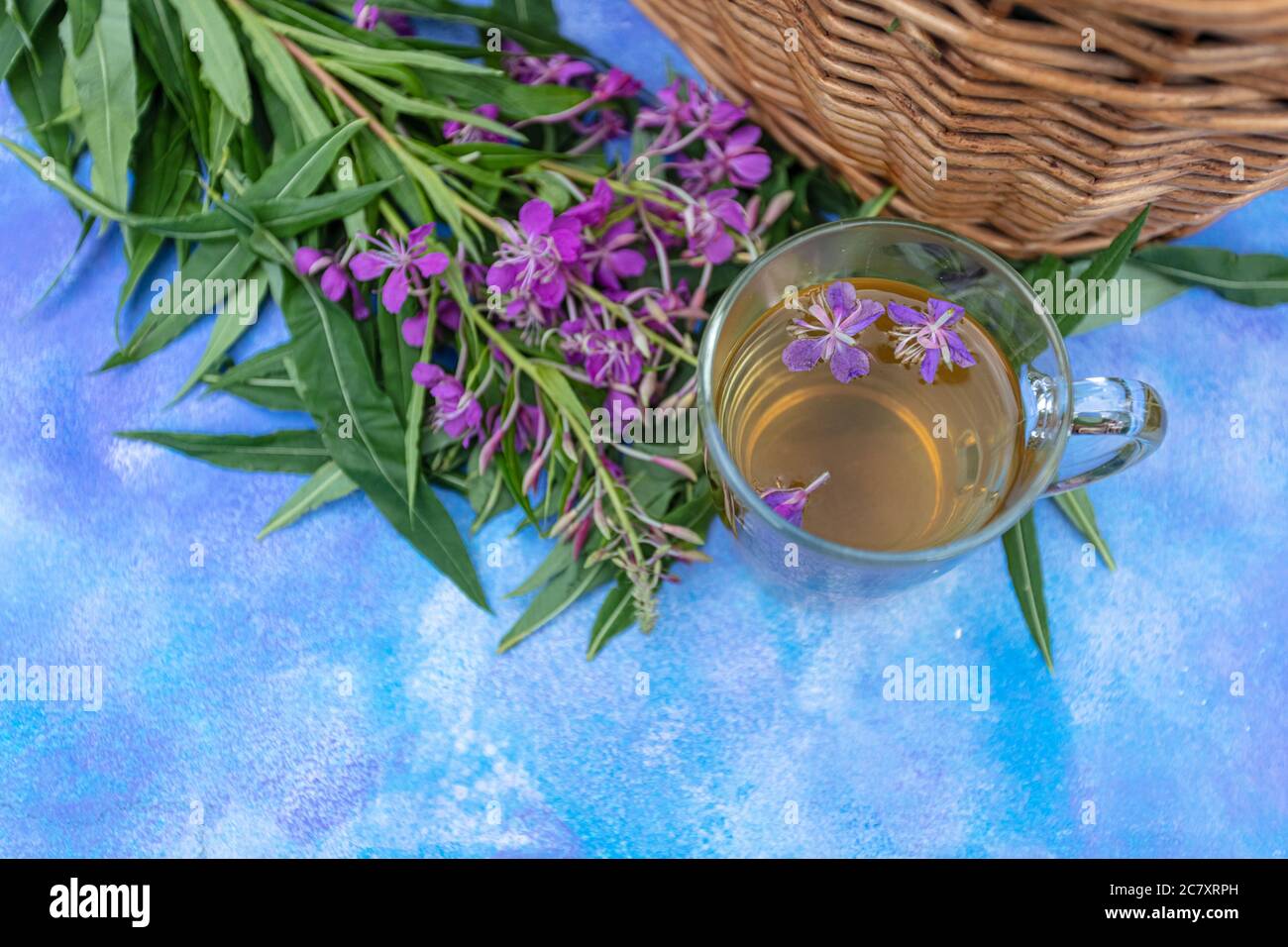 Traditional Russian herbal drink Ivan tea in a transparent cup. Close ...