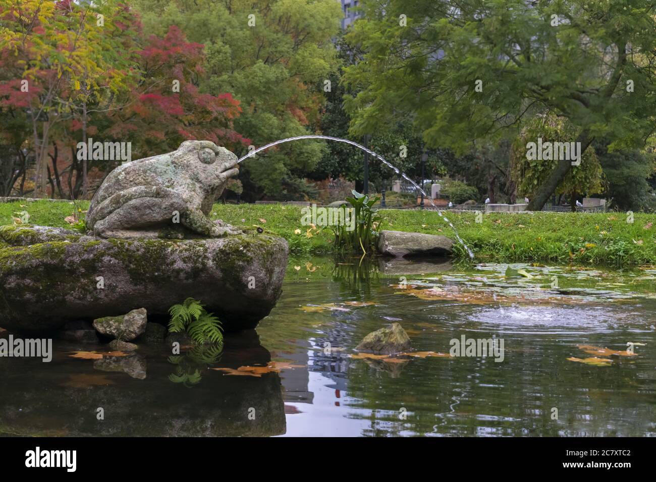 Statue of a frog spitting water from its mouth into the small pond ...