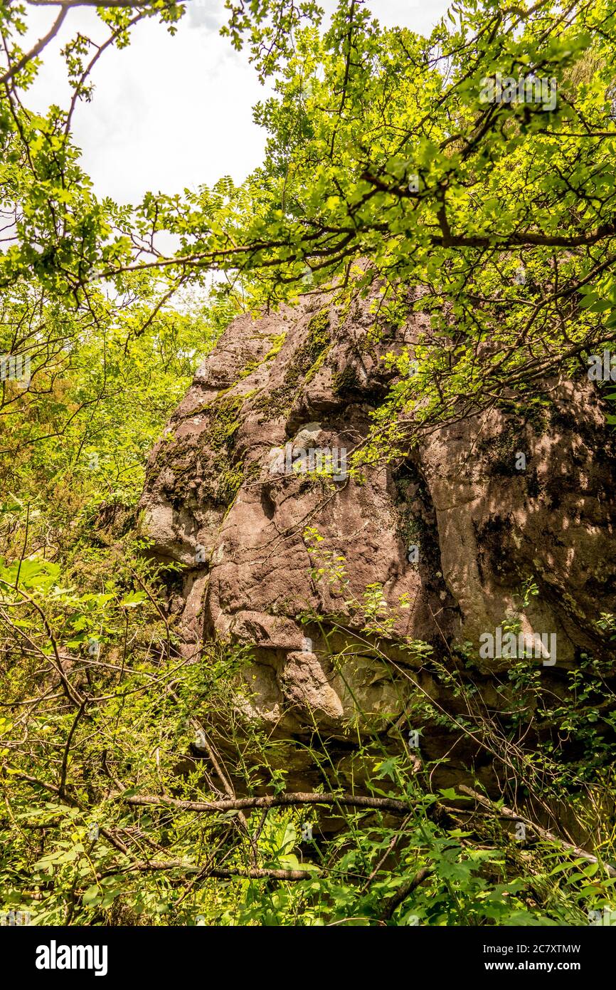 Vertical shot of a big rock on the path to the giant bench in Rogno ...