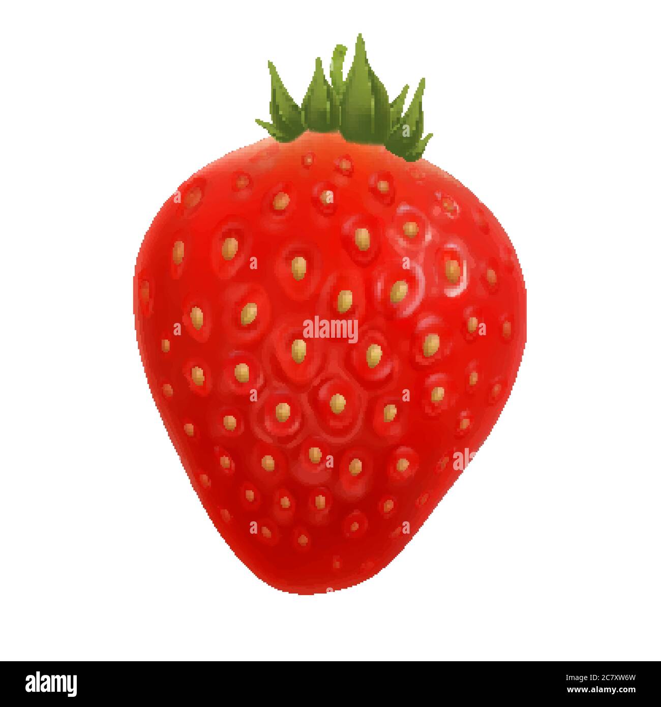 Strawberry Agriculture Farm Delicious Berry Vector Stock Vector Image ...