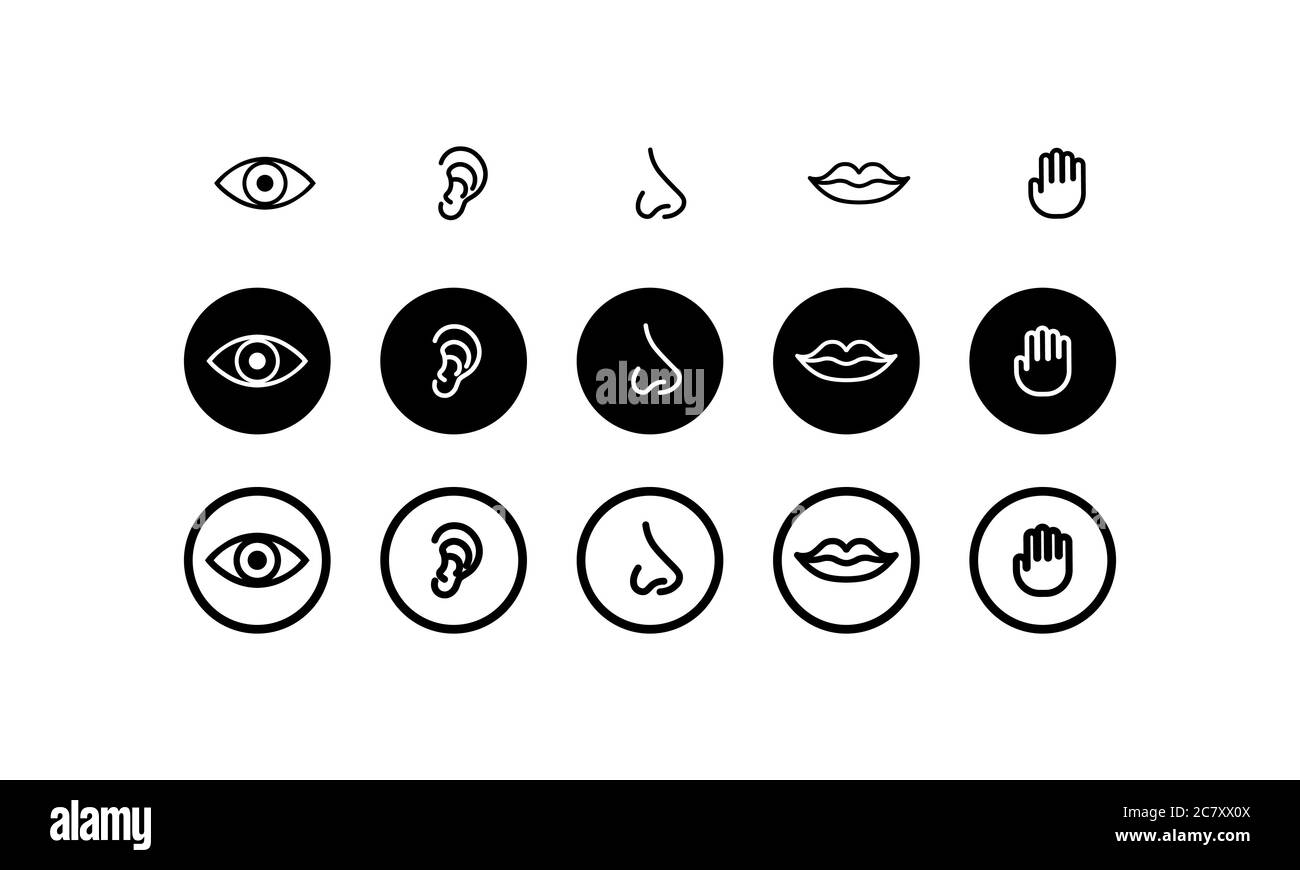 Five human senses. Hearing, smell, sight, taste and touch. Vector on ...