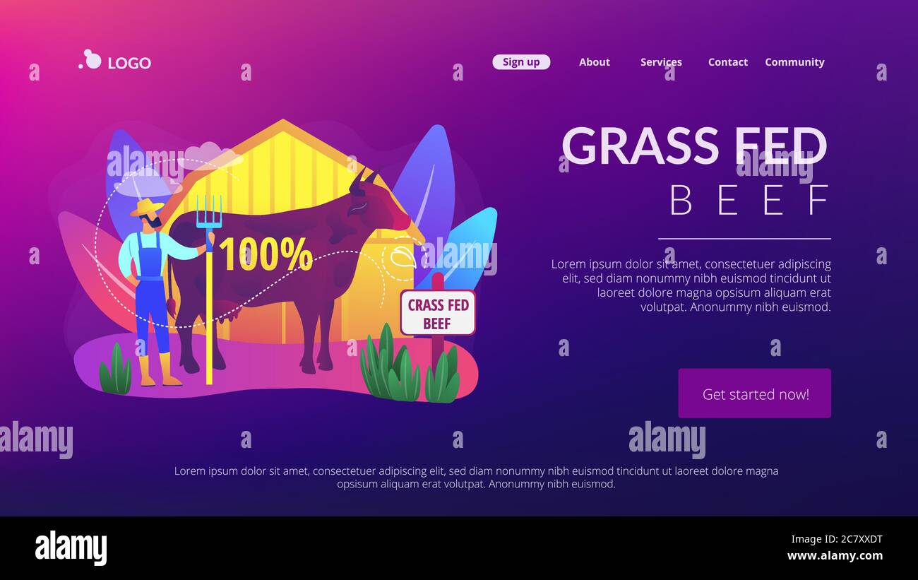 Grass fed beef concept landing page Stock Vector Image & Art - Alamy