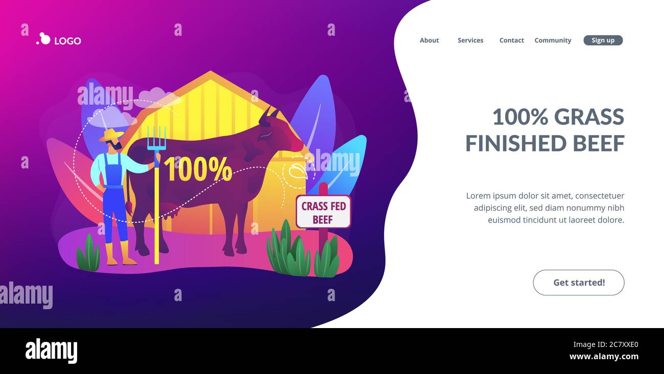 Grass fed beef concept landing page Stock Vector Image & Art - Alamy