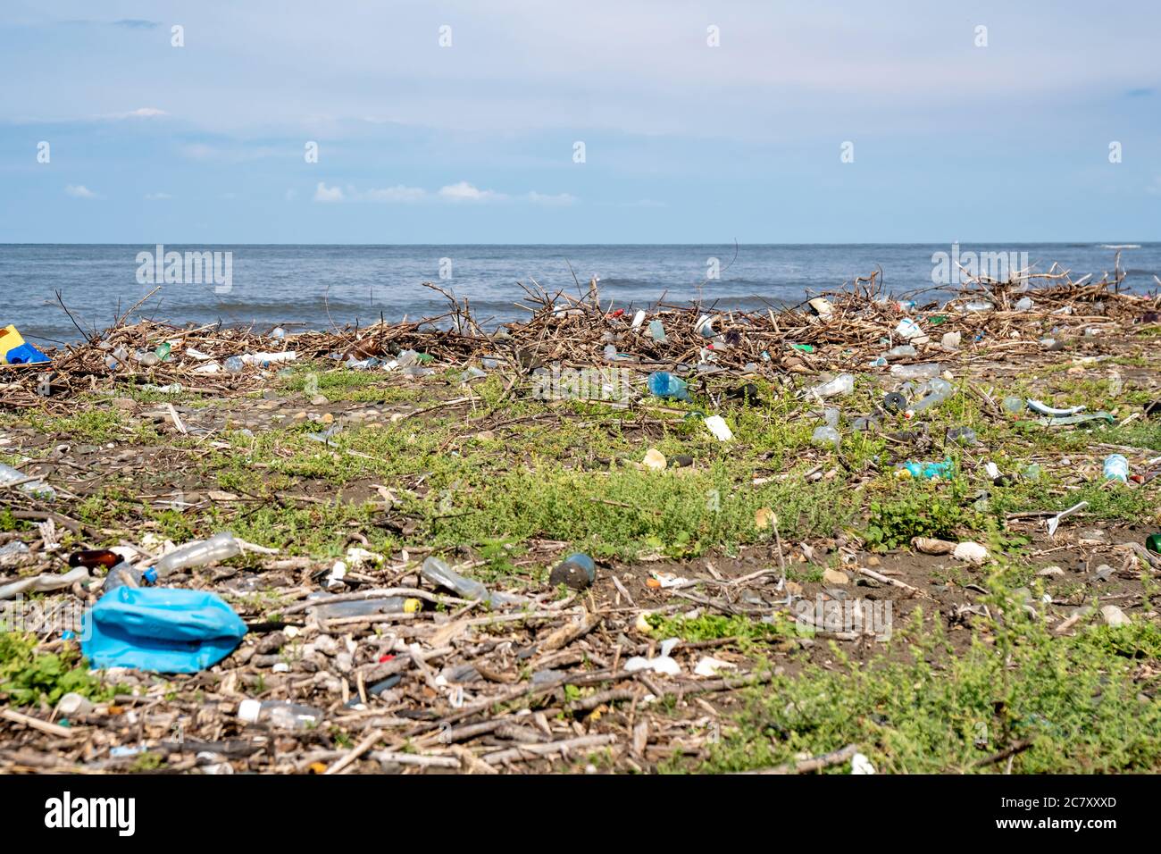 The problem of pollution and ecology of the sea shore and the ocean ...