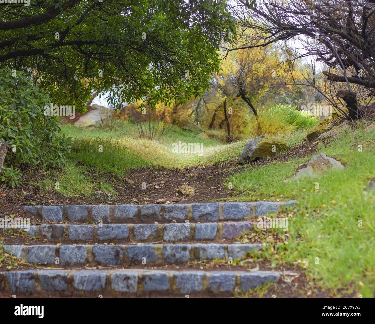 Beautiful shot of an old park pathway surrounded by beautiful nature ...