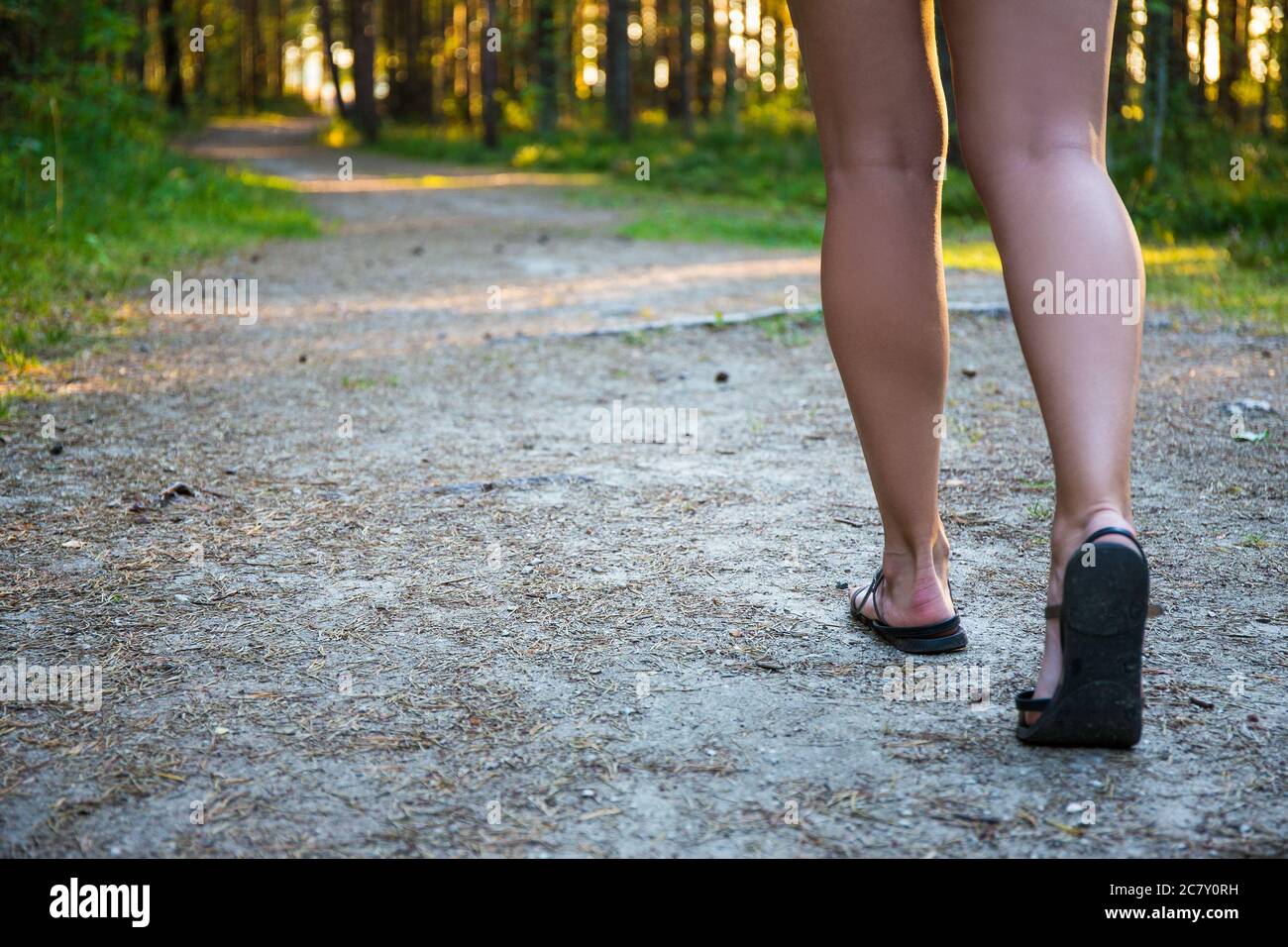 close up of female legs in sandals walking on forest road Stock Photo ...