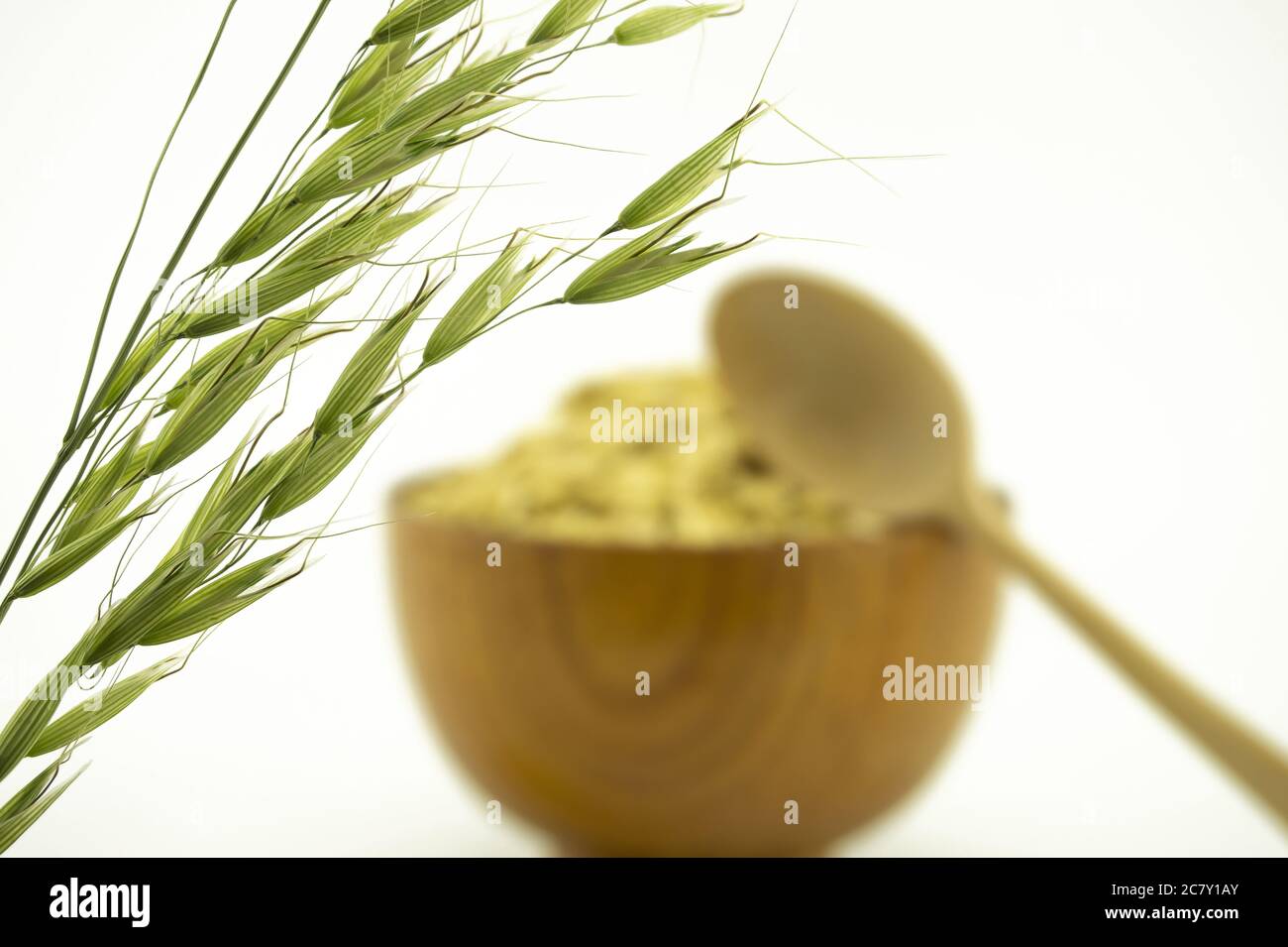 Green ear of oats with blurred bowl of cereal in the background ...