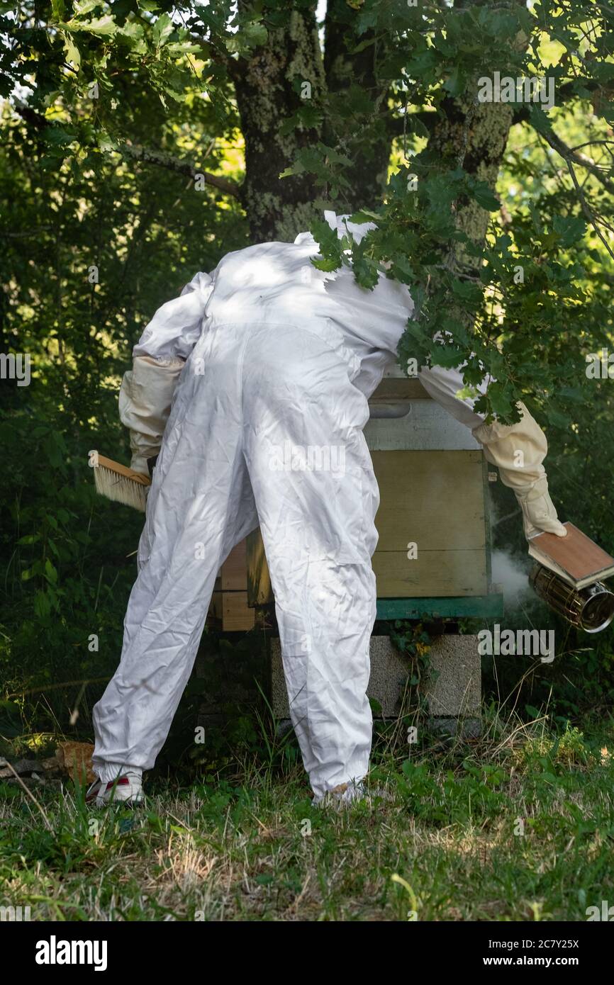 Aboriginal community hi-res stock photography and images - Alamy