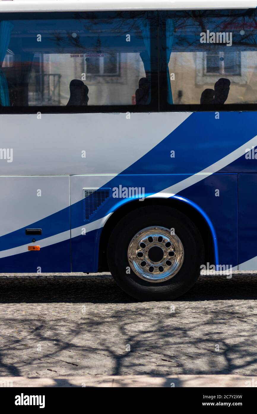 Branches of a tree on a car and bus hi-res stock photography and images ...
