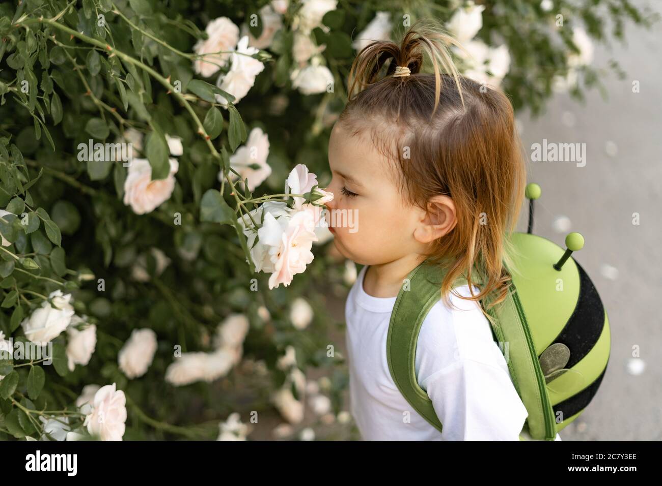 caucasian girl with green backpack going to preschool. sustainable ...