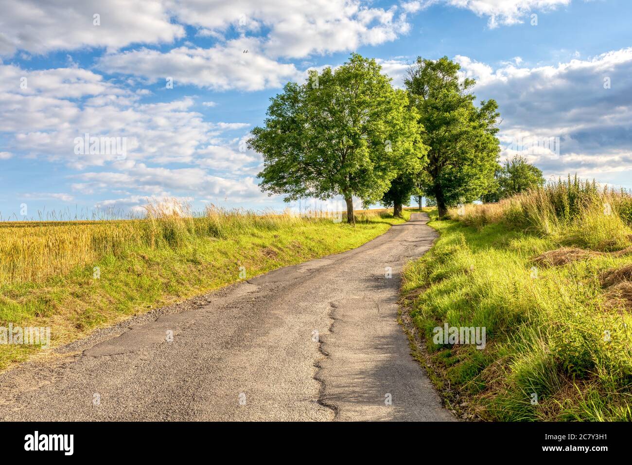 Highland fields yellow grass hi-res stock photography and images - Alamy