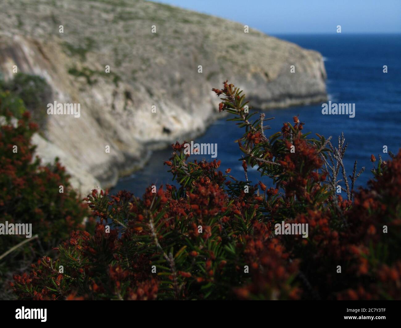 Garigue hi-res stock photography and images - Alamy