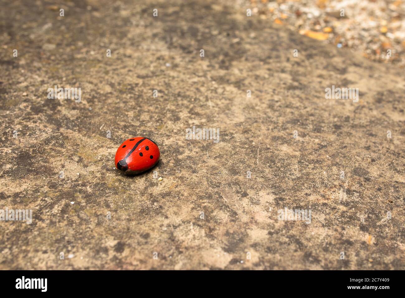 Ladybug with rocks hi-res stock photography and images - Alamy