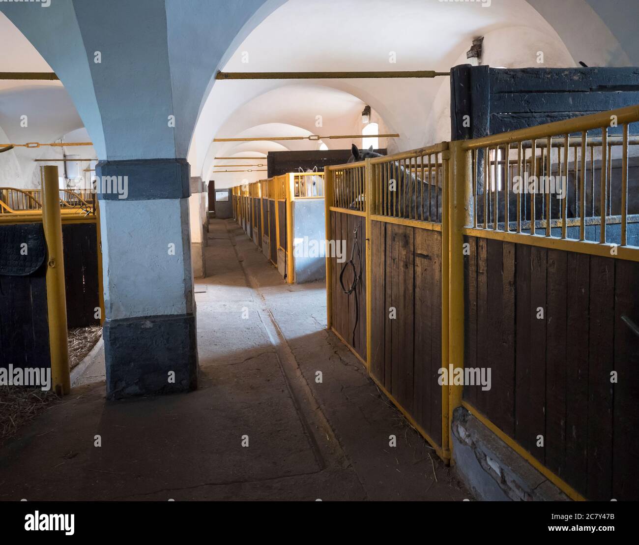 old horse stable stall block with white Kladruber horse Equus bohemicus ...