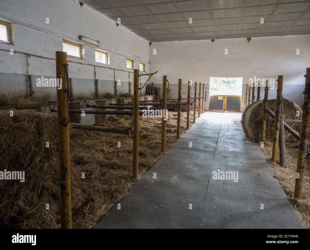 old empty horse stable stall block in historical farm Benice Stock ...
