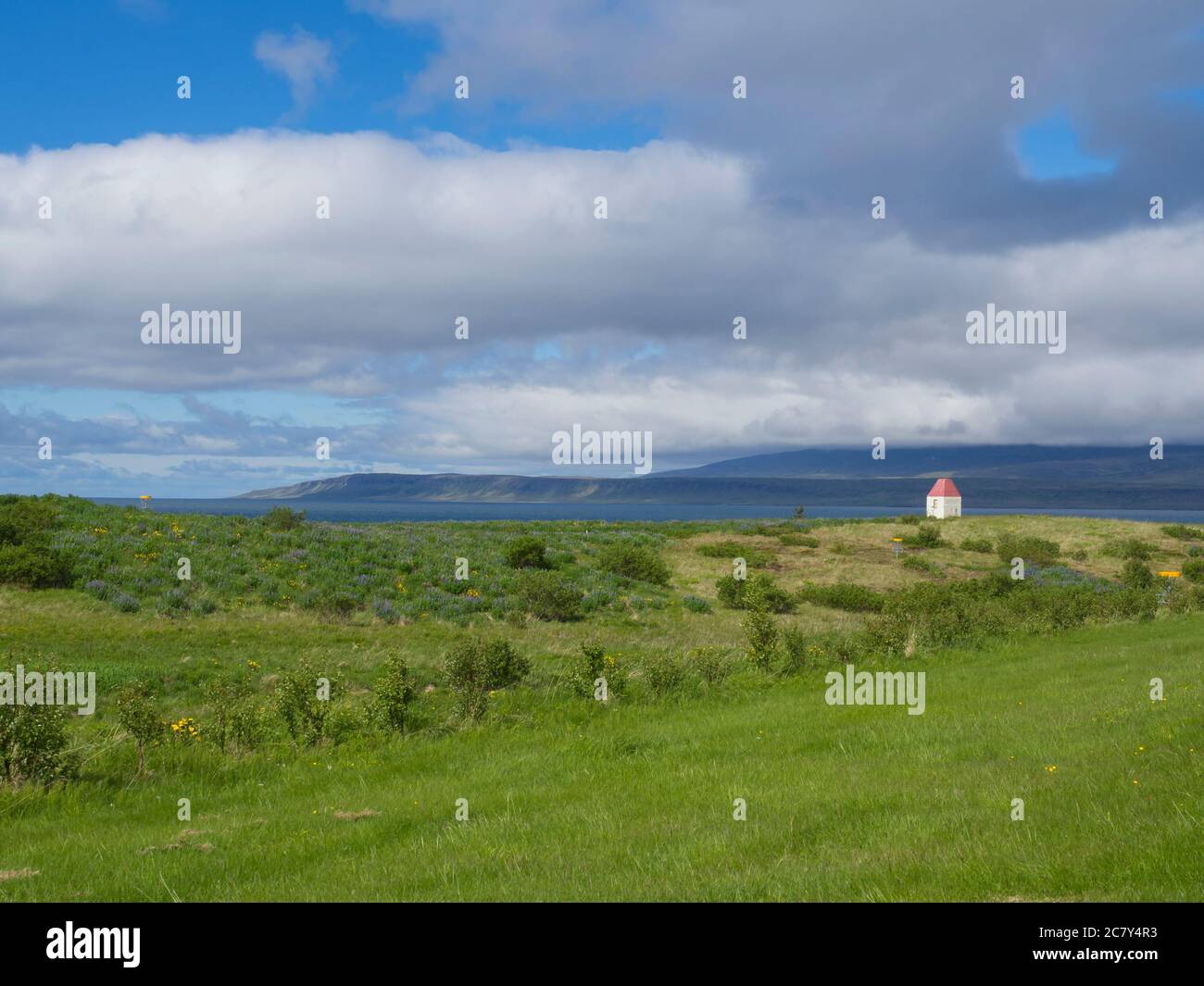 Iceland summer landscape with lush green grass meadow, sea and cliffs ...