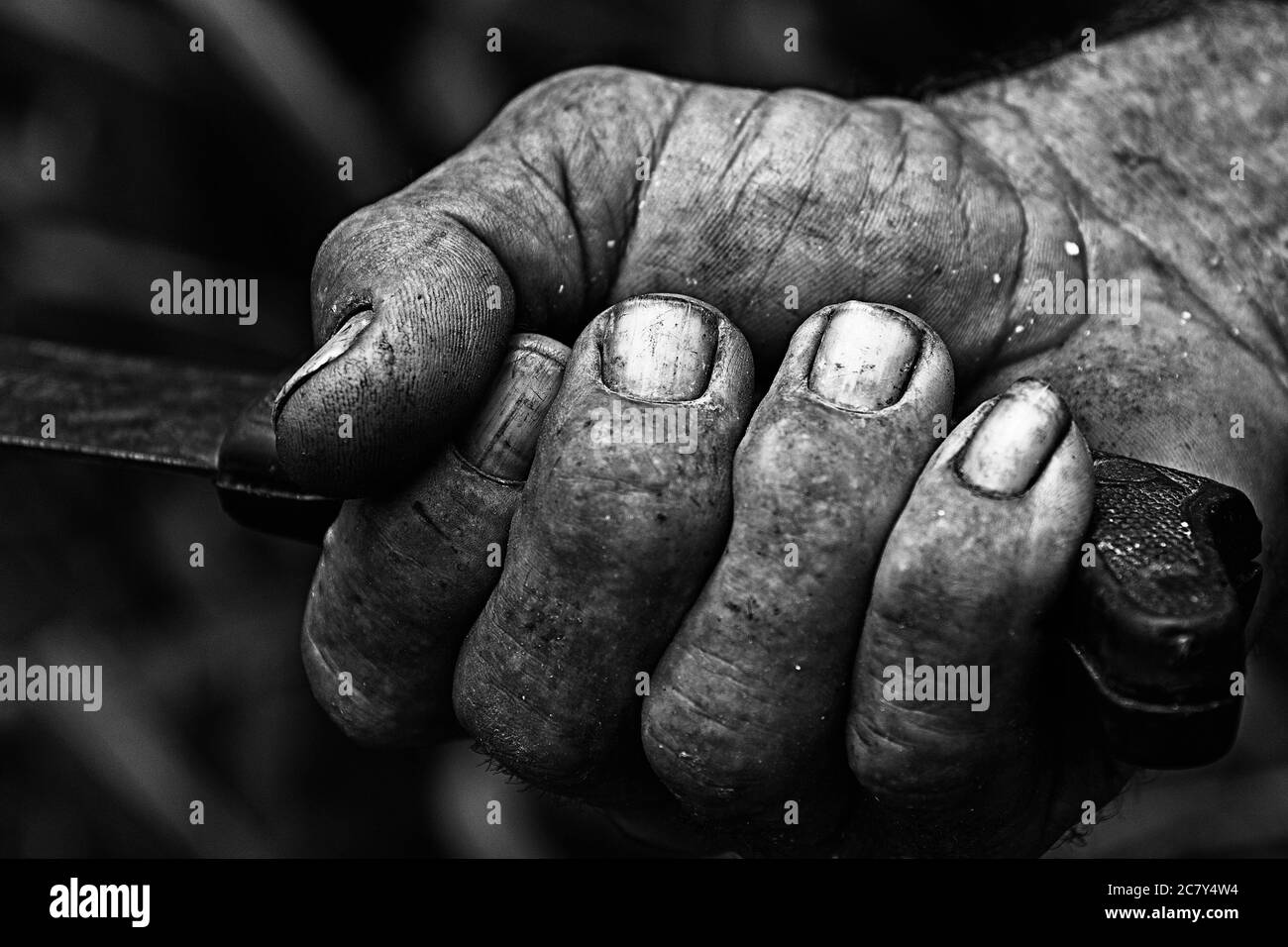 Wooden grip Black and White Stock Photos & Images - Alamy