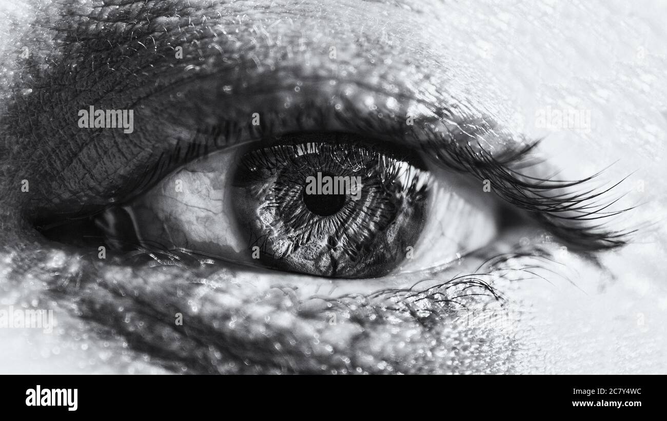 Grayscale closeup macro shot of the details of a human eye Stock Photo ...