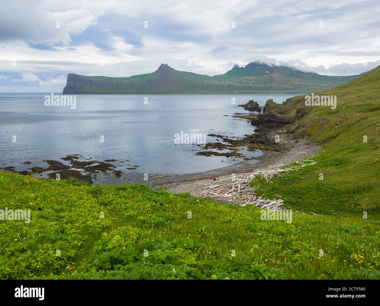 Scenic view on beautiful Hornbjarg cliffs in west fjords, remote nature ...