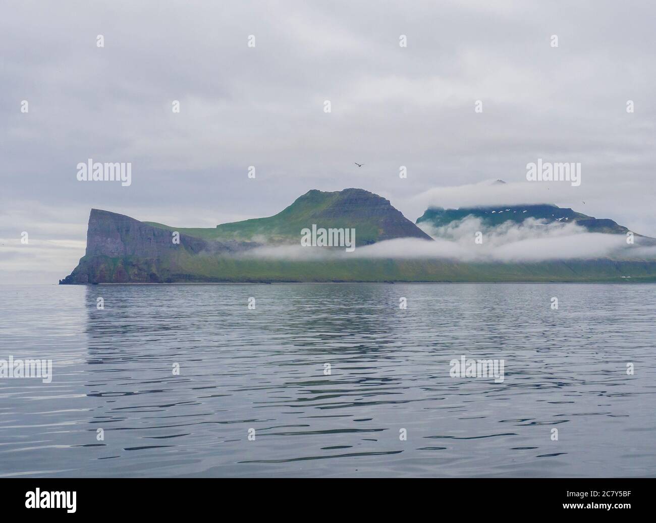 Hornstrandir nature reserve hi-res stock photography and images - Alamy