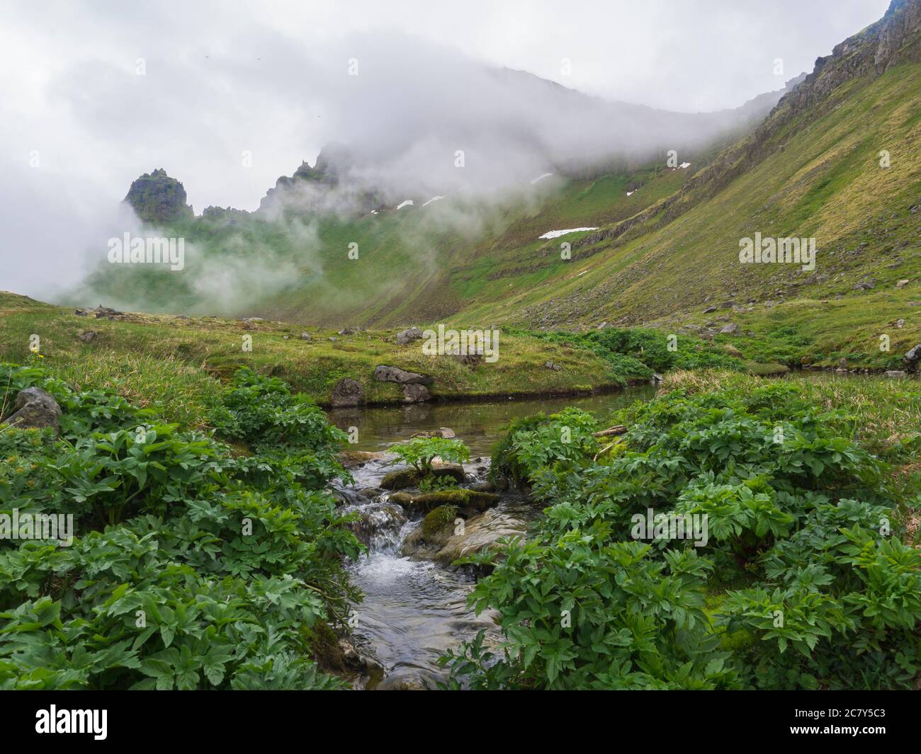 Mysterious view on beautiful king and queen Hornbjarg cliffs in west ...