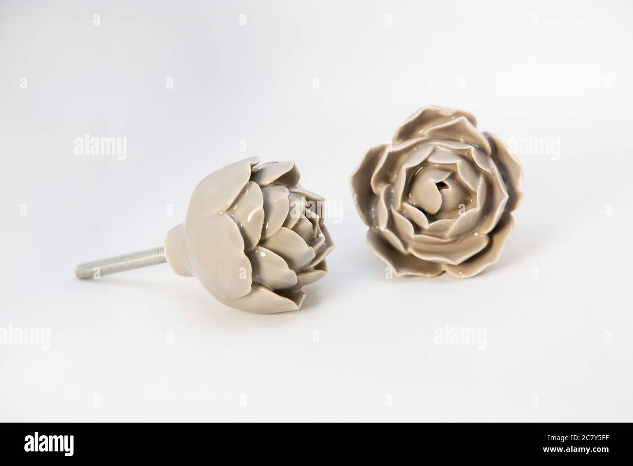 Pair of knobs with the rose shape isolated on a white background Stock ...
