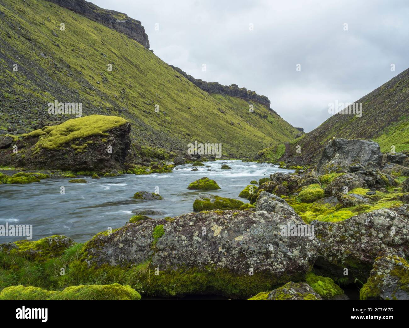 Lava stones covered with iceland moss hi-res stock photography and ...
