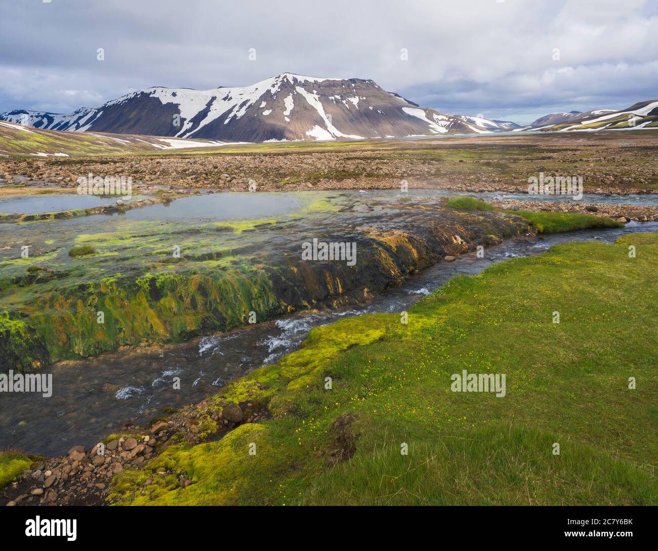 Iceland meadow landscape foot hi-res stock photography and images - Alamy