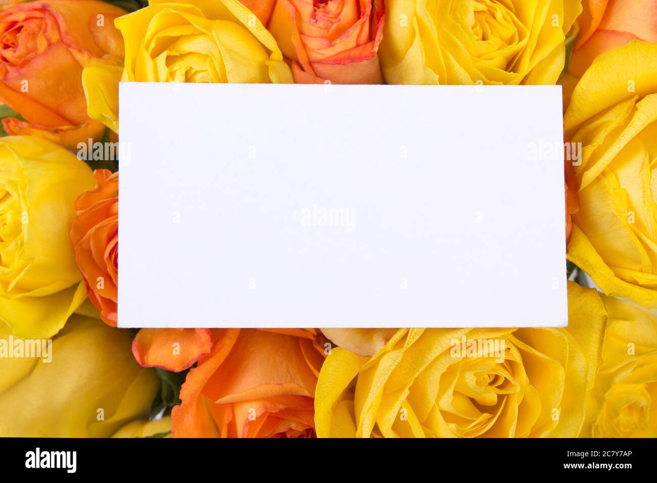 blank gift card and beautiful bouquet of orange and yellow roses Stock ...