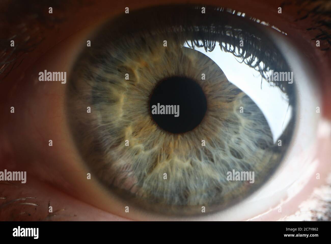 Human wide open blue eye hi-res stock photography and images - Alamy