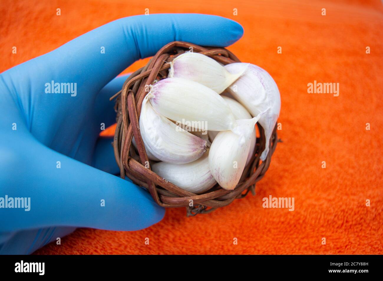 Hand in blue latex medical glove with Cloves of raw Garlic in wooden ...