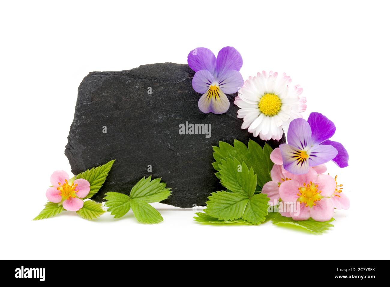 Slate with garden flowers and copyspace isolated Stock Photo - Alamy